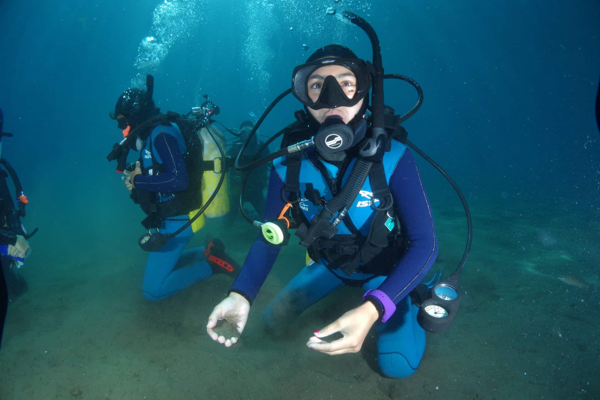 Your Catalina Summer Camp Bucket List Catalina Sea Camp