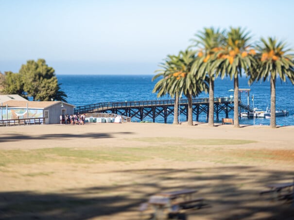 Programs - Catalina Sea Camp