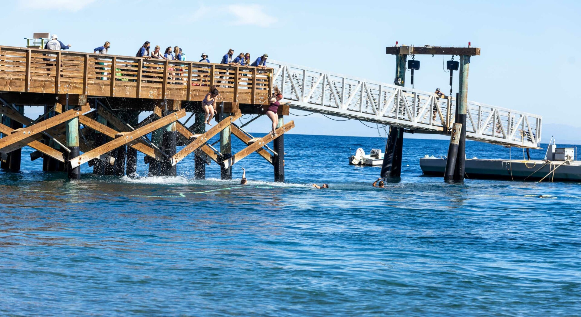 Why Our 3 Week Camp Is Fun For High Schoolers Catalina Sea Camp
